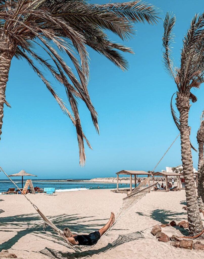 Abu Dabbab: Schwimmen mit Riesenschildkröten