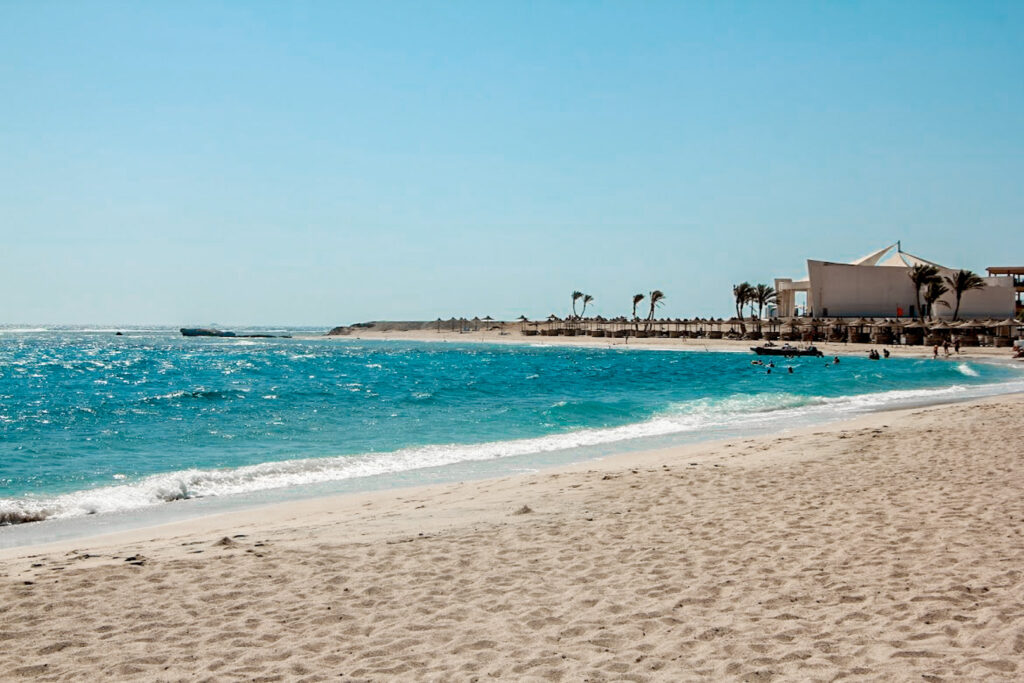 Abu Dabbab: Schwimmen mit Riesenschildkröten